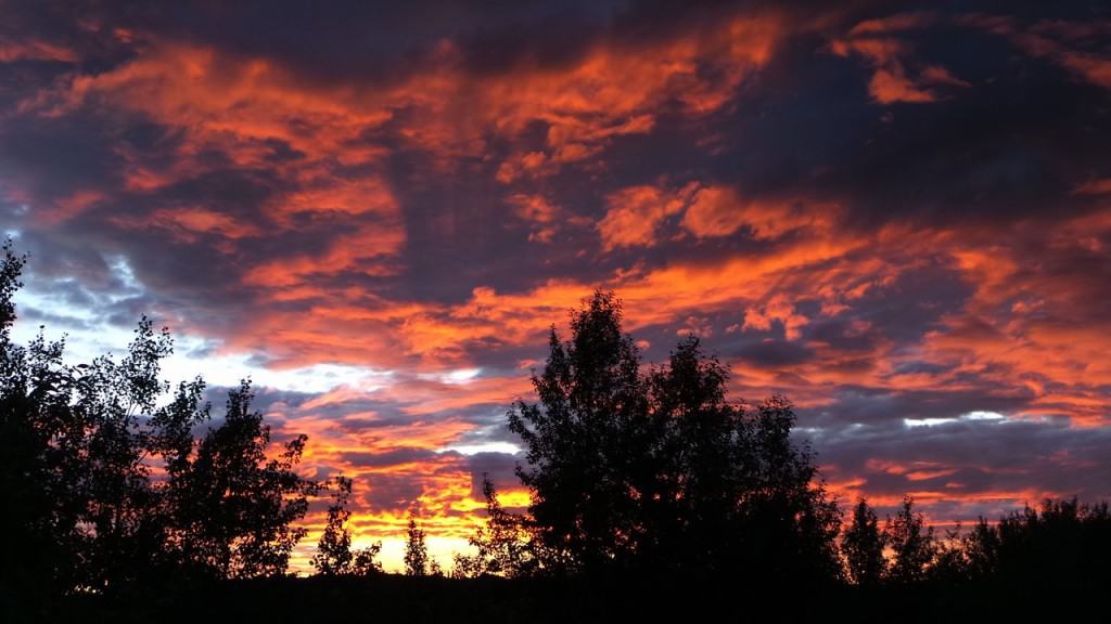 Sunrise 17 of 90 Day Goal - Samurai Innovation