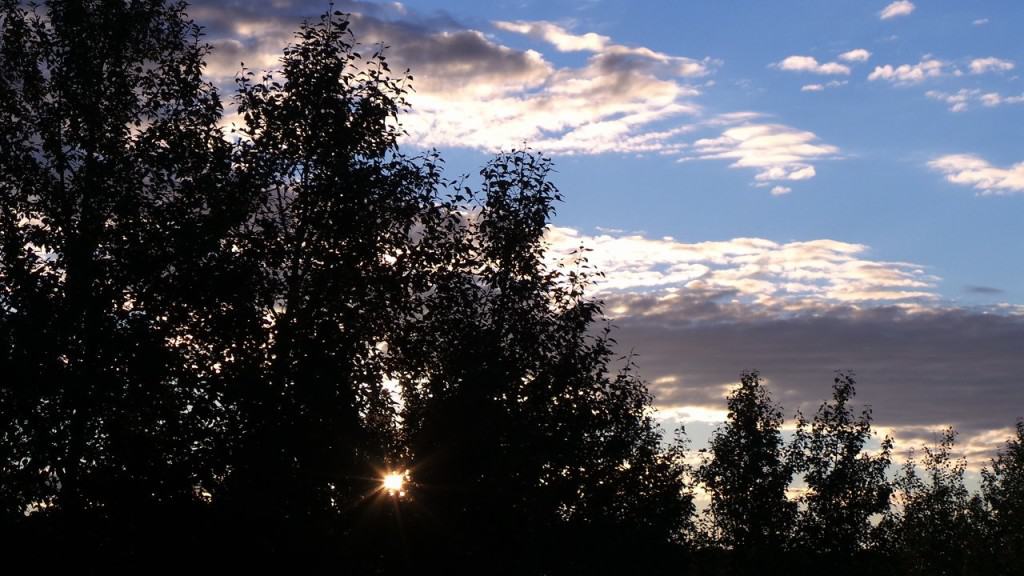 Sunrise 18 of 90 Day Goal - Samurai Innovation